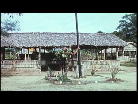 Two ARVN cadets help a comrade as he is wounded while taking down a flag at a tra...HD Stock Footage