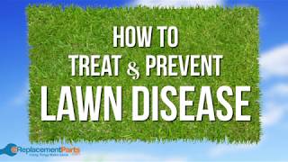 How to Identify, Prevent and Treat Lawn Disease | eReplacementParts.com ...
