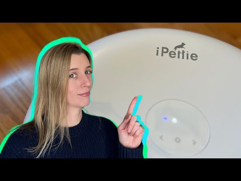 Make Your Life Easier with the iPettie Automatic Cat Feeder