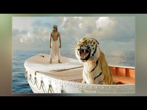 Life Of Pi