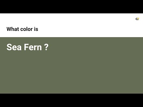 Sea Fern color #656d54 hex color - Green color - Cool color 656d54