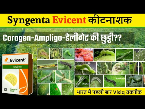 Syngenta Insecticide - Latest Price, Dealers & Retailers in India