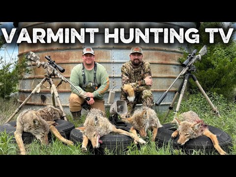 Hot and Heavy Pup Season Calling - Coyote Hunting