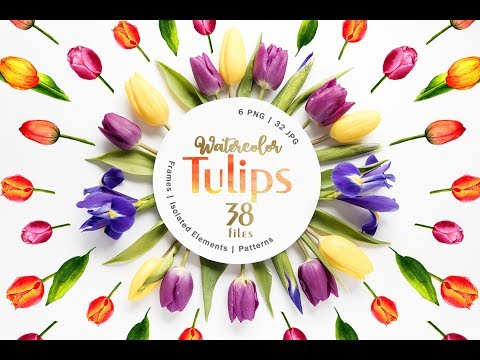 Tulips Watercolor Red png
