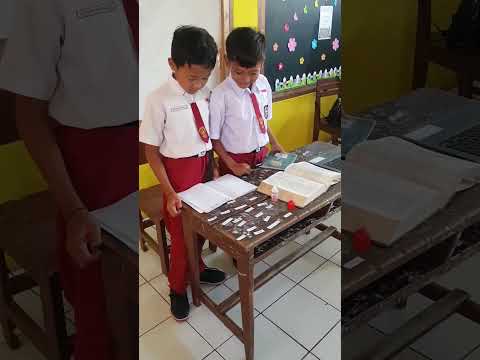 Mencari Arti Kata dalam Kamus Besar Bahasa Indonesia Kelas 4 SD