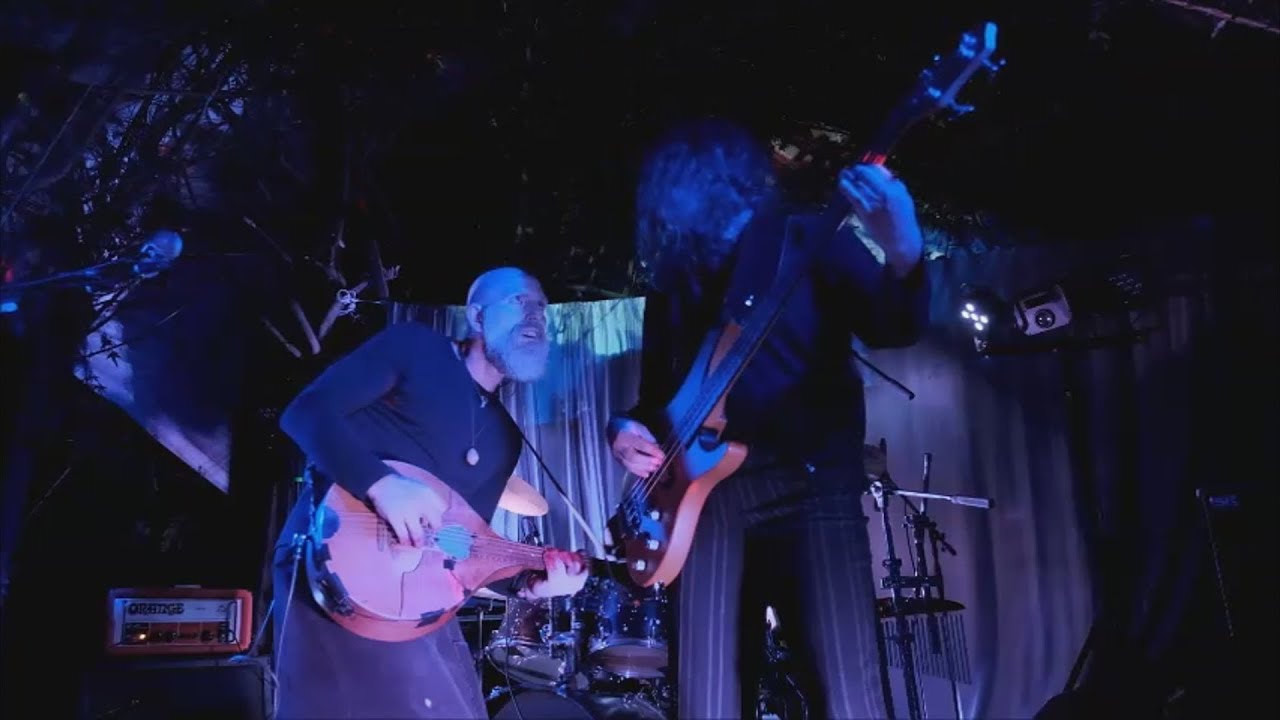 Anderes Holz | STF-Records