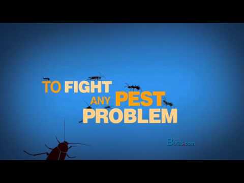 Bugman! | Hulett Environmental Services