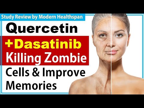 Quercetin+Dasatinib Killing Zombie Cells & Improving Memory | Study Review