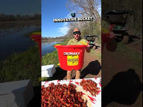 🦞2ND BEST WAY TO PURGE CRAWFISH #louisiana #cajun