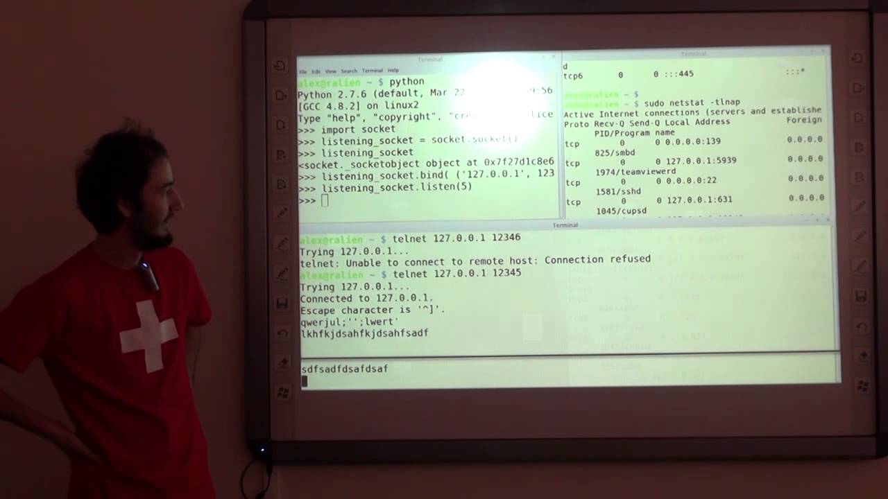 Network programming, lesson 1.1 - BSD sockets in Python