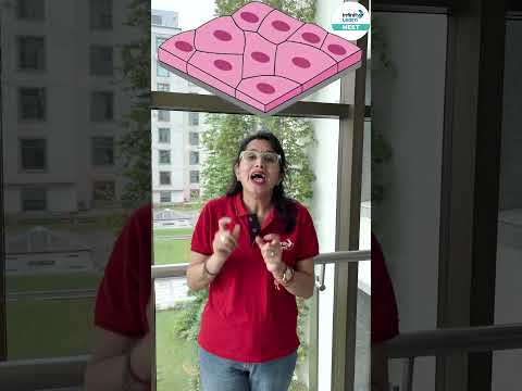 Simple Squamous Epithelium || #Shorts || #NEET2024 || Infinity Learn NEET