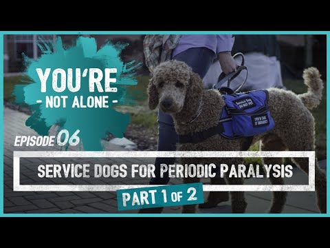 Service Dogs for Periodic Paralysis, Disabled | You're Not Alone EP06