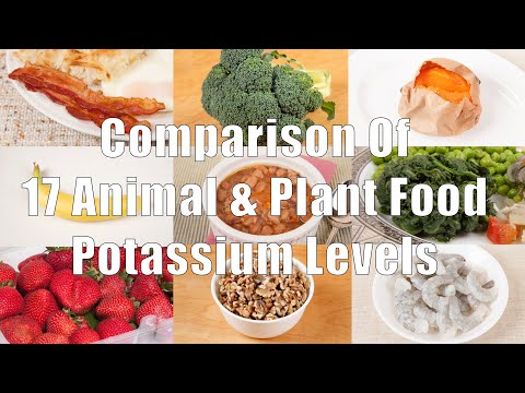 Comparison Of 17 Animal vs. Plant Food Potassium Levels (700 Calorie Meals) DiTuro Productions LLC