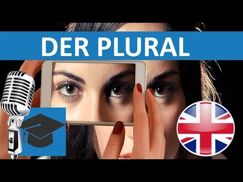Der PLURAL im Englischen erklärt | LernenLeicht Englisch