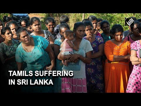 Sri Lankan Tamils continue to suffer amid an economic downturn