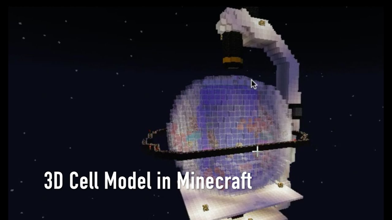 3D Cell Model made in Minecraft