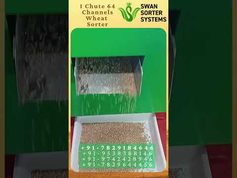 Wheat Color Sorter Machine - 1 Chute 64 Channels Wheat Color Sorter Machine Manufacturer from ...