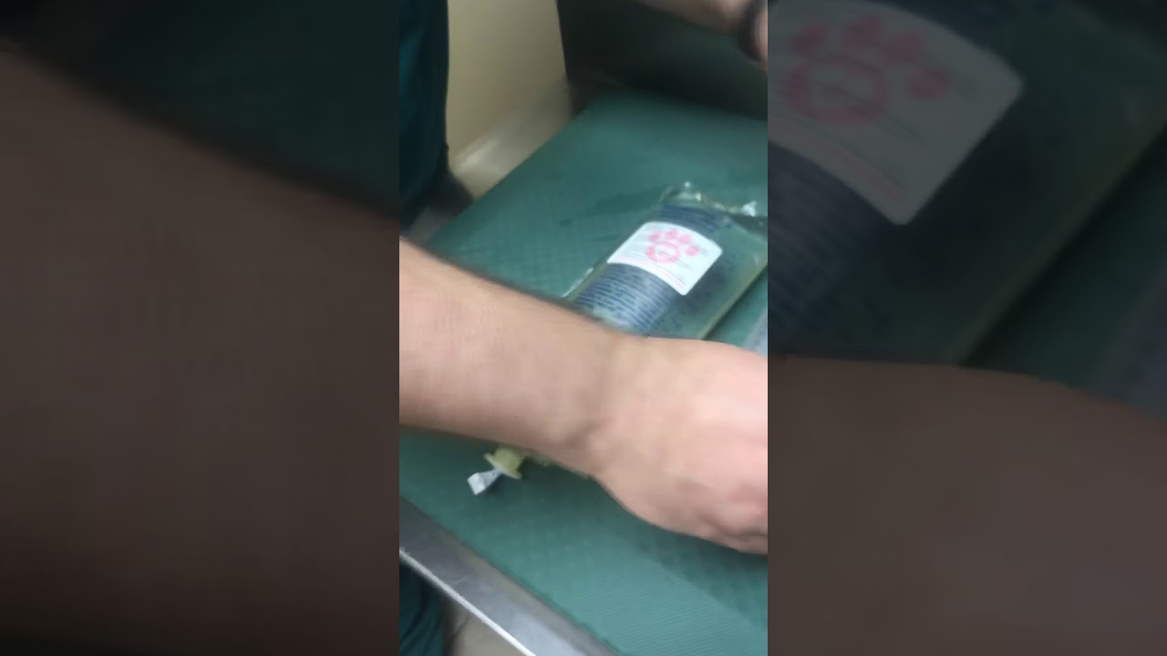Sub-q fluid prep via syringe for cats