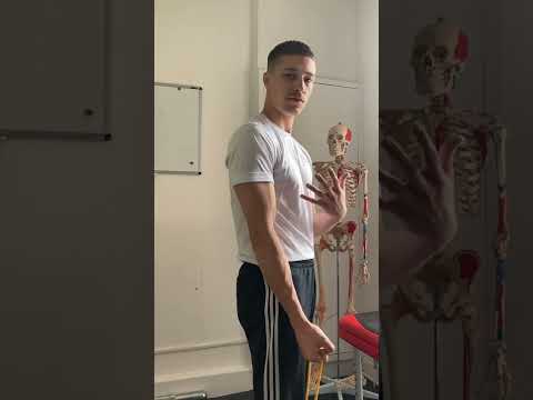 Concentric, isometric and eccentric muscle contractions.