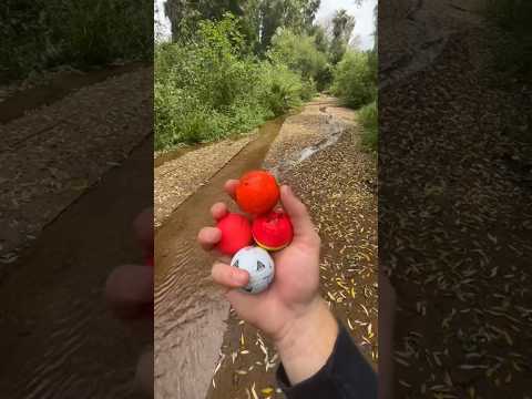 Have I ever missed a golf ball?