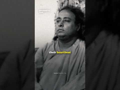 The Monk That Changed the world and then Transcended.