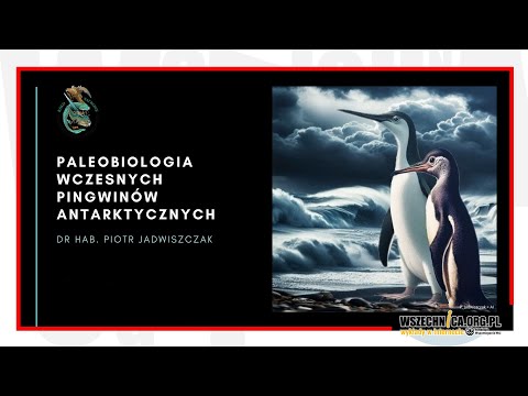 Paleobiologia wczesnych pingwinów antarktycznych - dr hab. Piotr Jadwiszczak