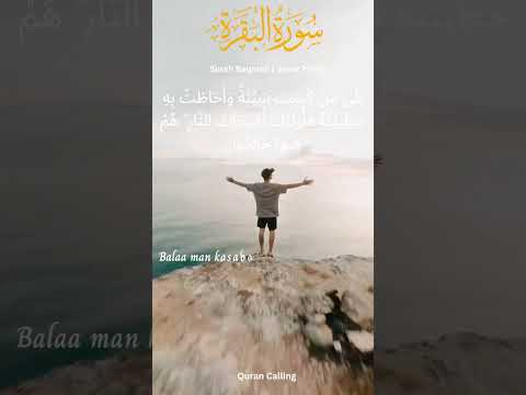 Delightful Quran Recitation ft. Shamsul Haque | Taraweeh 2025 | Surah Baqarah V.79-82 | Viral