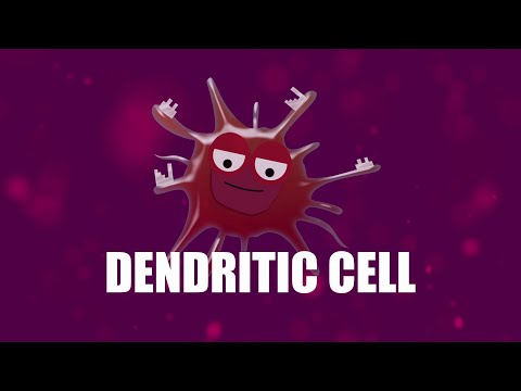 Supercytes - How to say 'Dendritic cell'