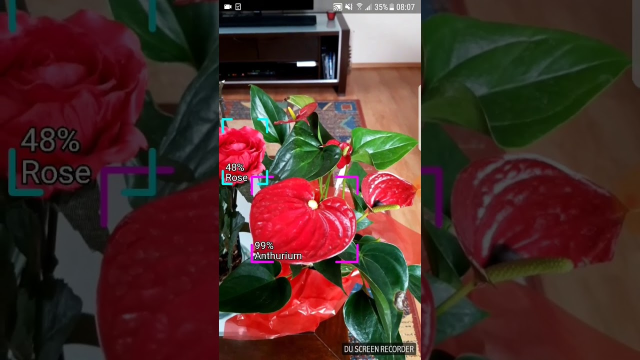 AI powered flowers identification
