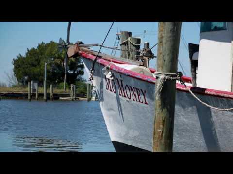 Apalachicola River Project: The Gulf Fishery