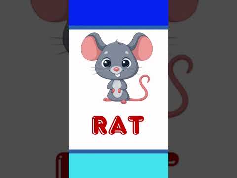 Learning with London - Let's Learn Rhyming Words - Best Learning Video for Kids #childrenseducation