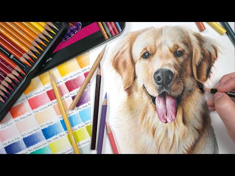 Drawing Realistic Dog Portraits | Coloured Pencil Tutorial