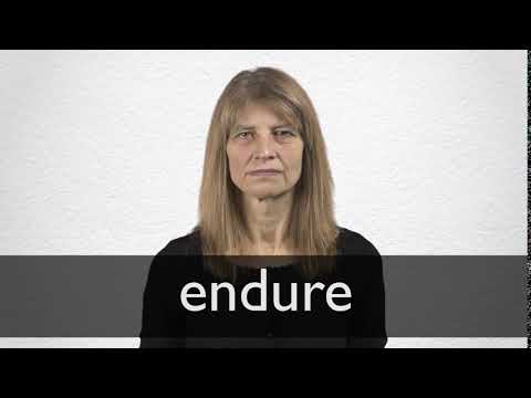 ENDURE definition and meaning | Collins English Dictionary