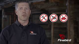 Firebird 50 BIO Target, 10pk | Pyramyd AIR