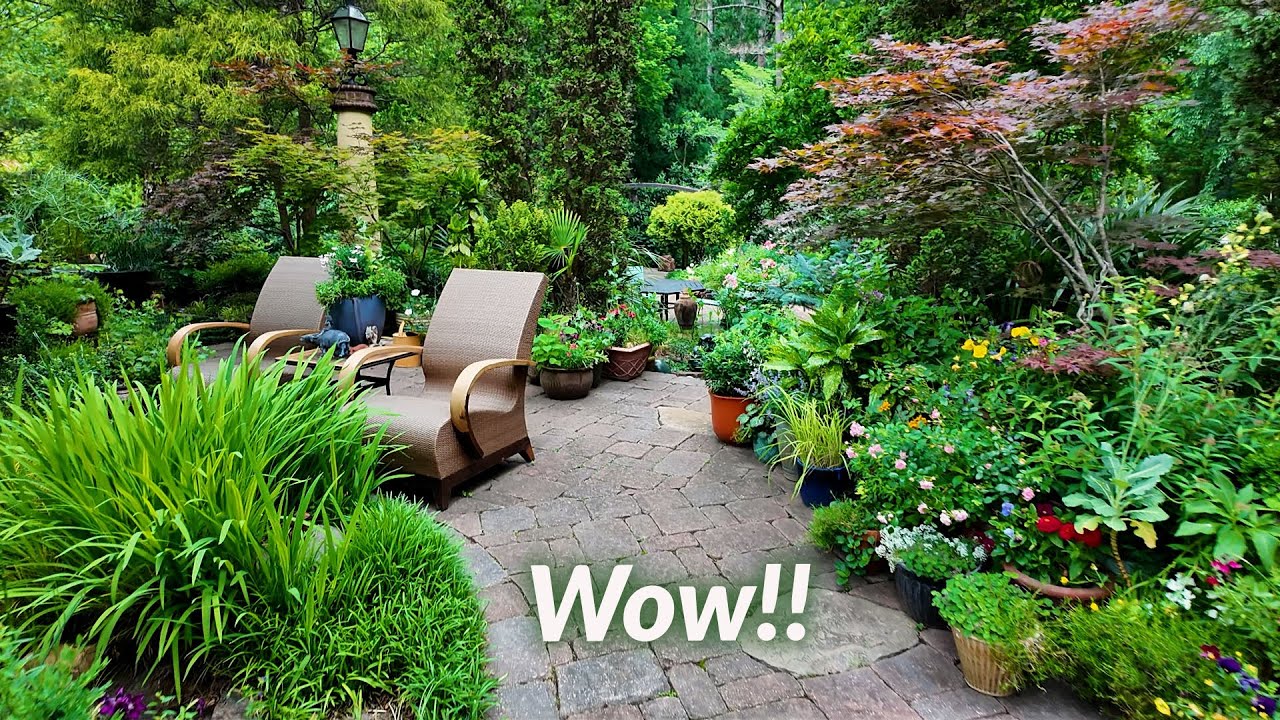 Incredible Garden at Dawn