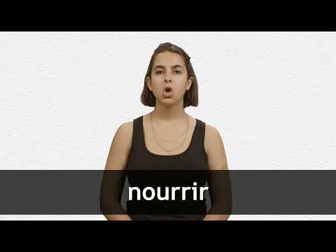 English Translation of “NOURRIR” | Collins French-English Dictionary