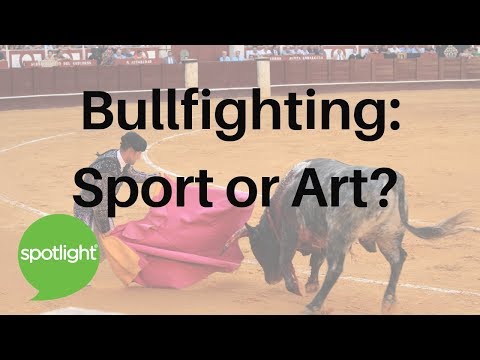 Bullfighting: Sport or Art? | practice English with Spotlight