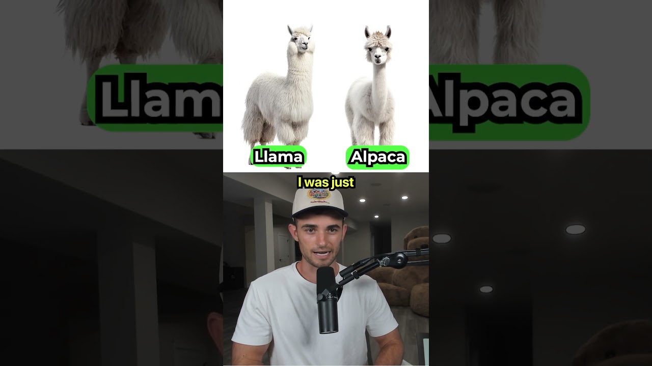 Can You Tell The Difference?