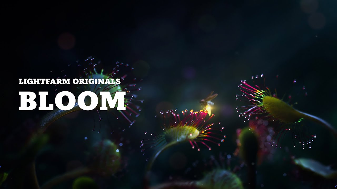 BLOOM | Lightfarm Studios (Original)