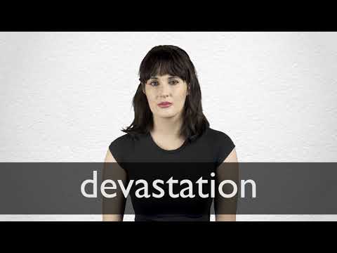 DEVASTATION 释义 | 柯林斯英语词典