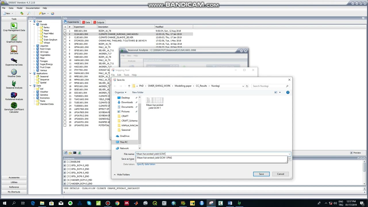DSSAT Climate Change Seasonal Analysis
