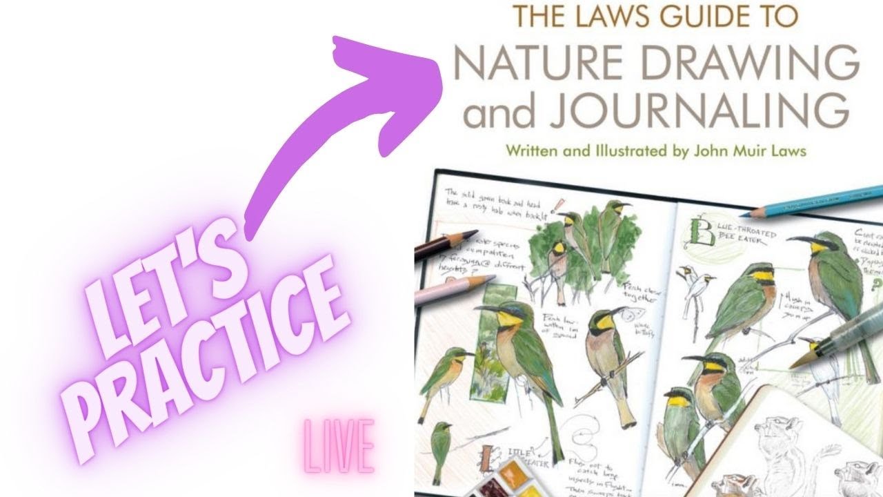 Let's Practice from The Laws Guide to Nature Drawing and Journaling