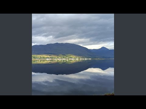 REFLECTIONS