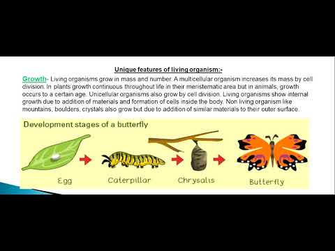 The Living world