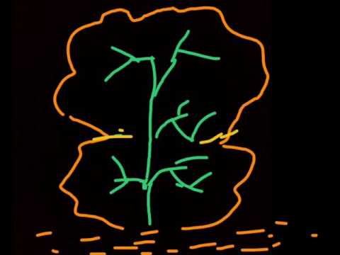Difference between Watershed Area and River Basin