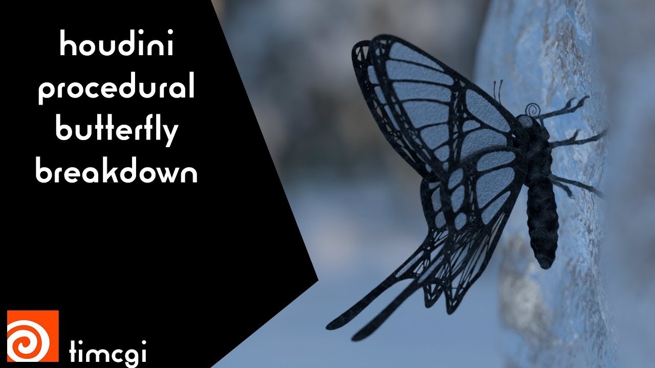 Houdini - Butterfly Model Breakdown