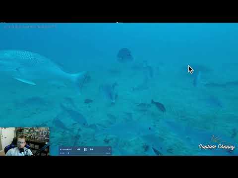 In depth targeting big red snapper offshore in the Gulf of Mexico explanation and underwater