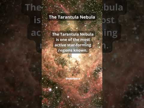 The Tarantula Nebula #astrotrivia #daily #spaceexploration #dailyfact