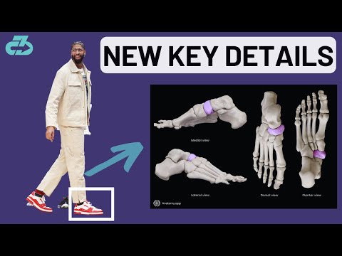Anthony Davis Injury NEW DETAILS. New Timeline? Expert Explains.