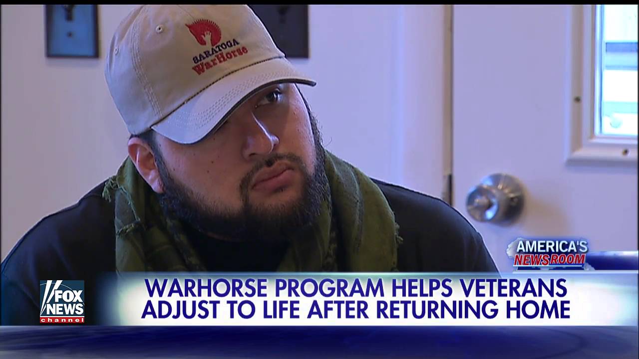 Warhorse program helps veterans struggling with PTSD